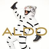 Aldo F/W 11 (Aldo)