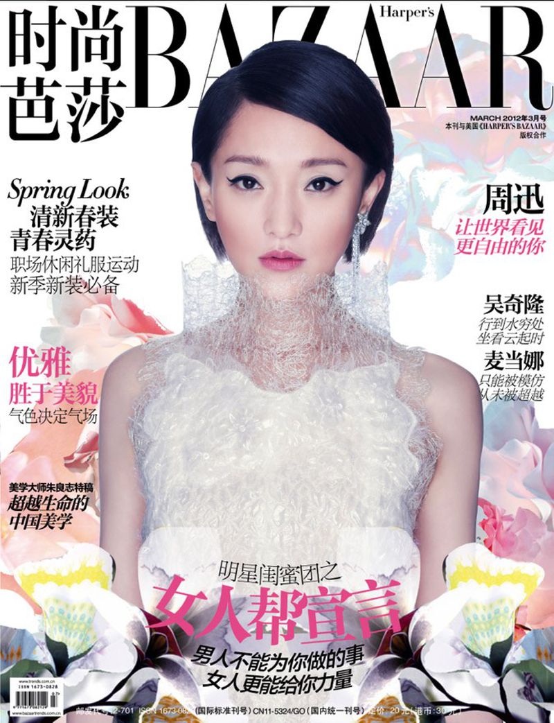 Harper's Bazaar China March 2012 Cover (Harper's Bazaar China)