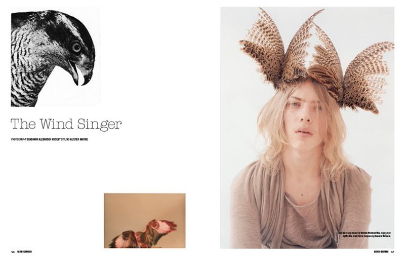 The Wind Singer (Dazed Magazine)