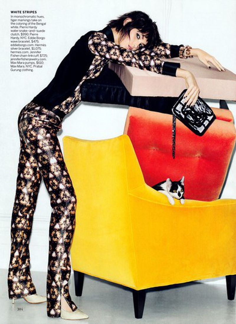 Cat's Meow (American Vogue)