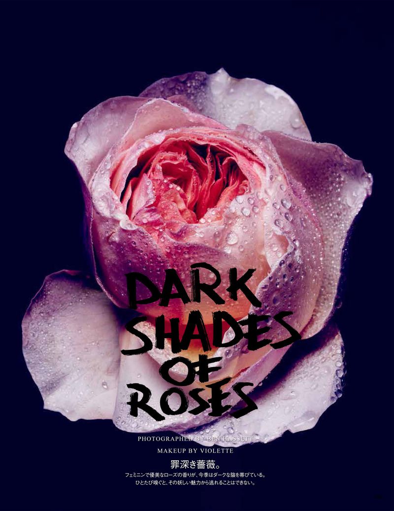 Dark Shades of Roses (Vogue Japan)