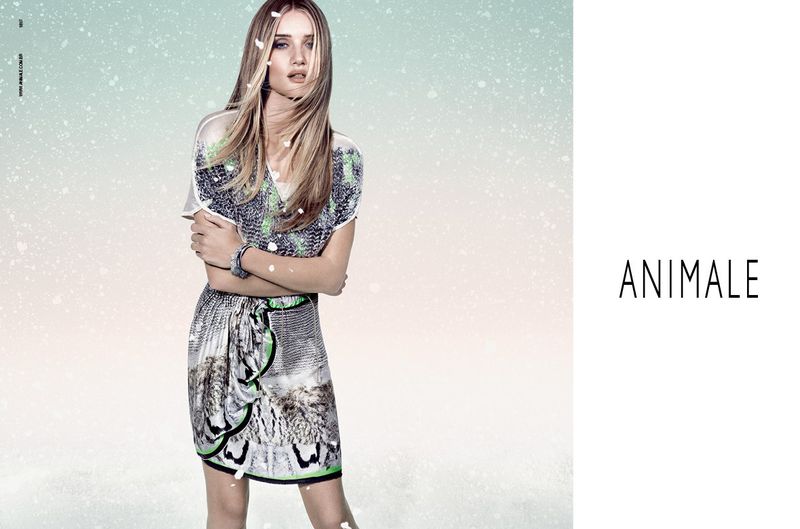 Animale Fall/Winter 2013 (Animale)