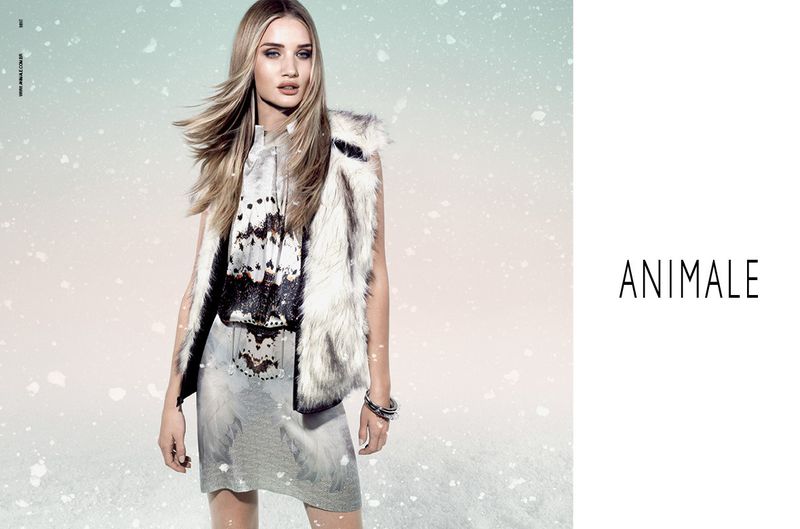Animale Fall/Winter 2013 (Animale)