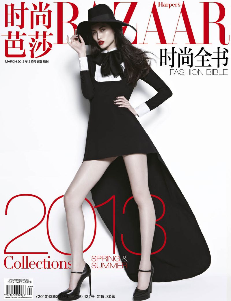 Haper's Bazaar China Collections Cover Story (Harper's Bazaar China)