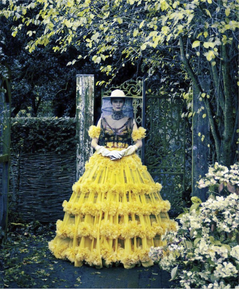 Fashion's Queen Bee (Harper's Bazaar U.S.)