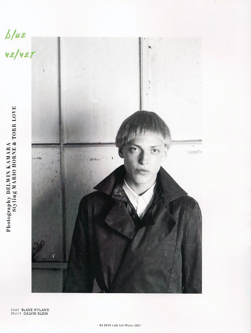 Blue Velvet (Open Lab Magazine)