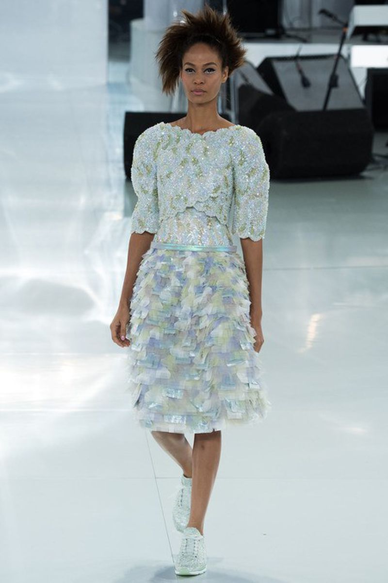 Chanel Haute Couture Spring 2014 Show (Chanel)