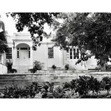 The Hemingway House Feature (i-D Magazine)