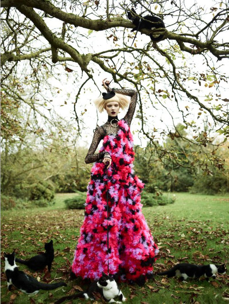 The cat lady (Vision China)