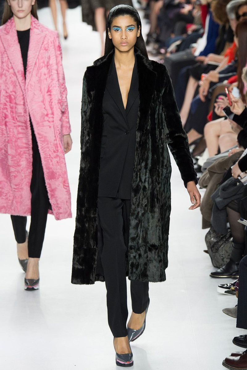 Dior F/W 14 Show (Dior)