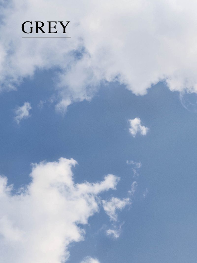 Grey X Cover S/S 14 COVERS (Grey Magazine Italy)