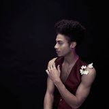 Dorian by Alex John Beck (Open Lab Magazine)