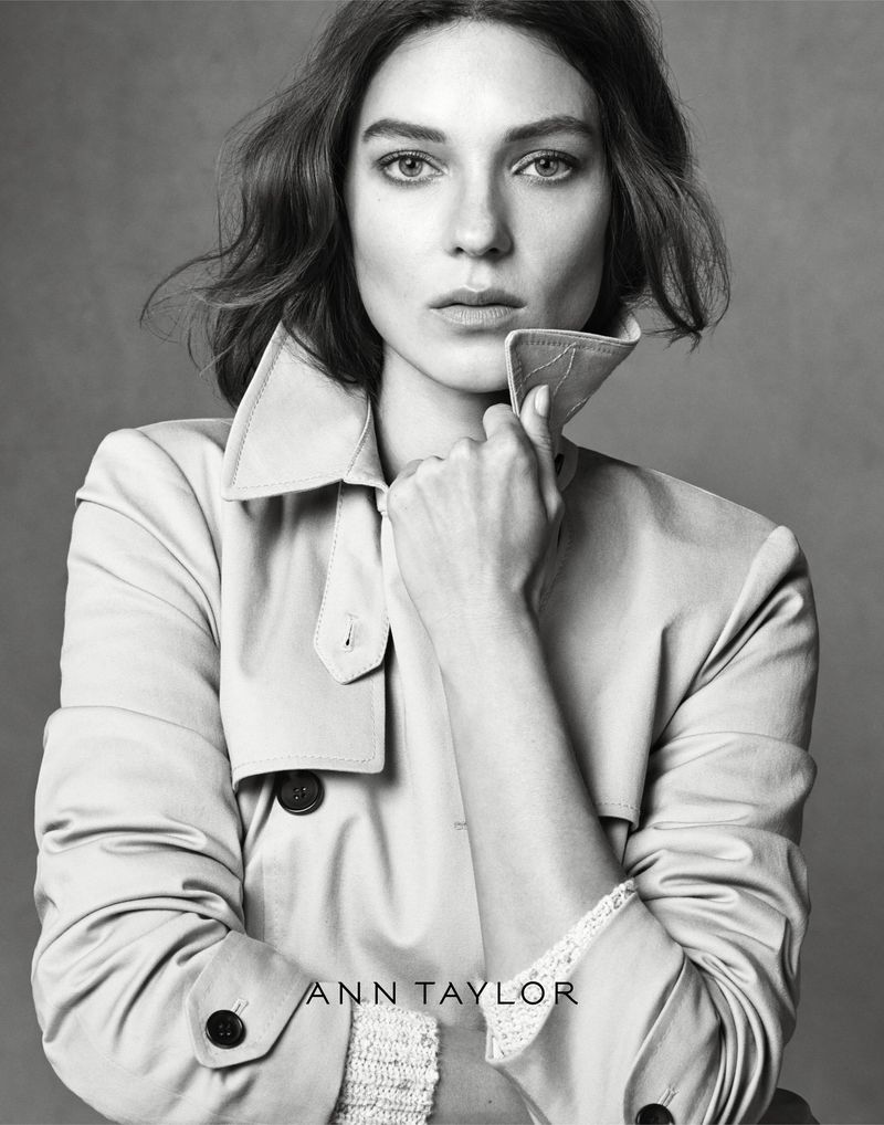 Ann Taylor Fall Icons 2015 (Ann Taylor)