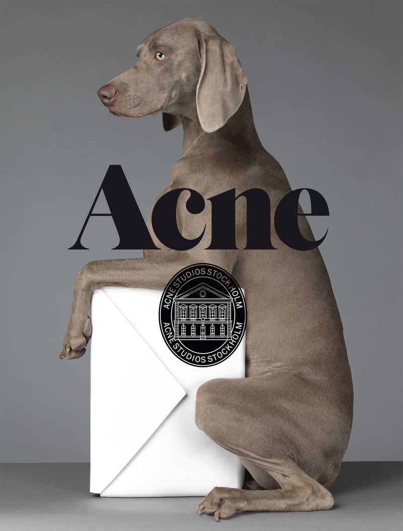 Acne Paper S/S 13 Covers (Acne Paper)