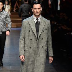 Chris Elson - Model Profile - Photos & latest news