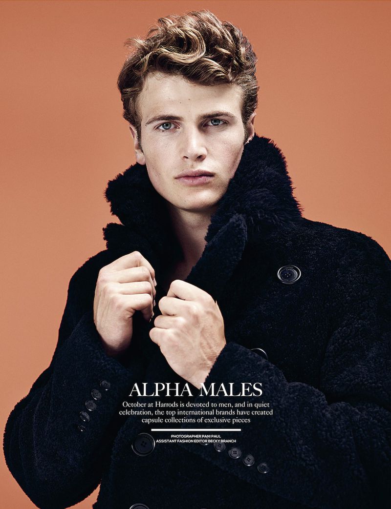Alpha Males (Harrods)