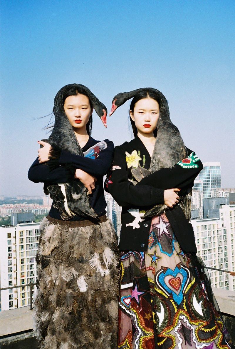 Welcome to the jungle (Vogue Me China)