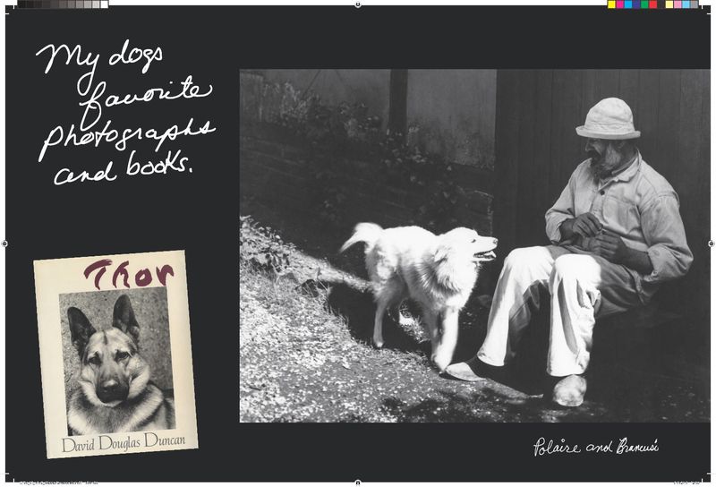 A Dog is not Just for Christmas (Vogue Italia)