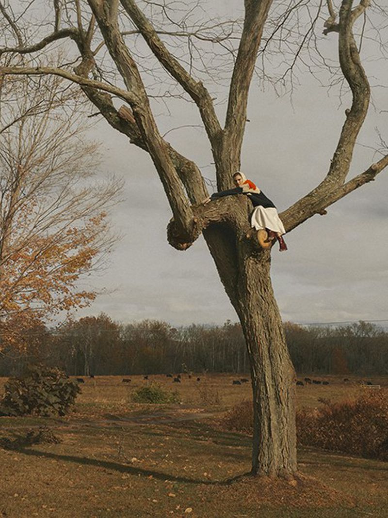 Women in Trees: A Charming Genre, Rediscovered (The Line)