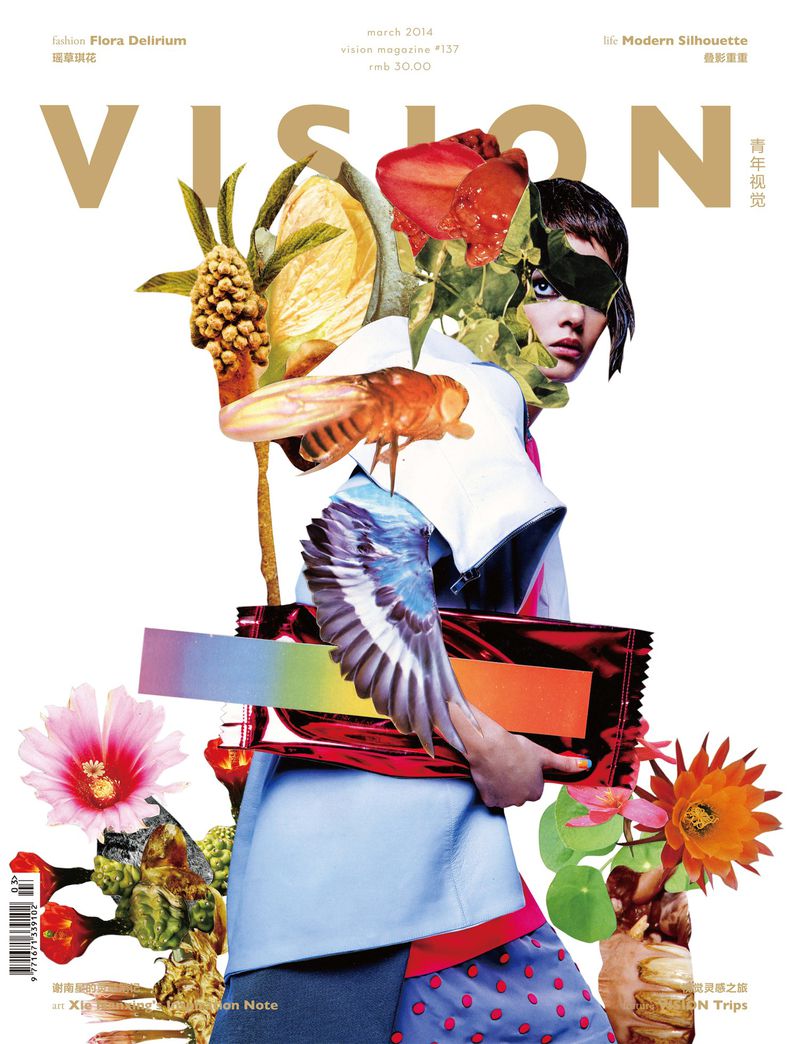 Vision China March 2014 Cover (Vision China)