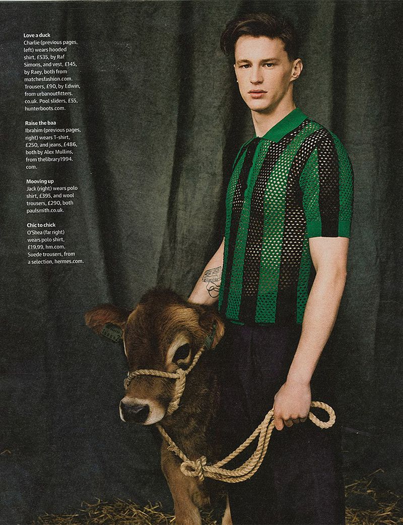 Untitled (The Guardian)