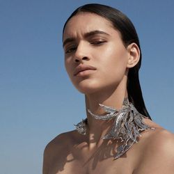 Michelle Beatty - Photographer Profile - Photos & latest news