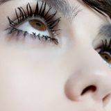 Pierre Debusschere - Photographer Profile - Photos & latest news