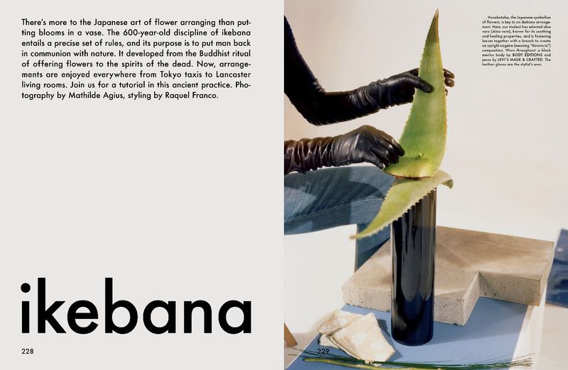 Ikebana (The Gentlewoman)