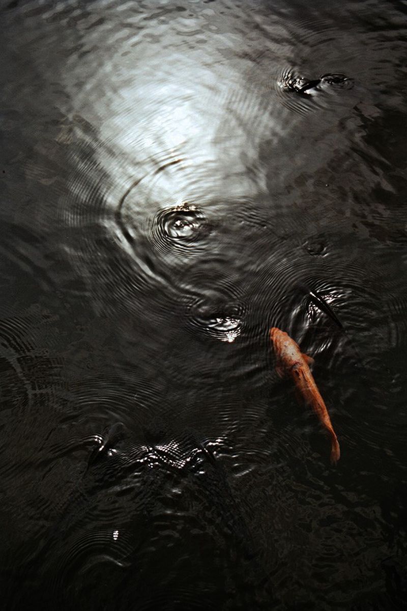 Kanazawa (The Last Magazine)