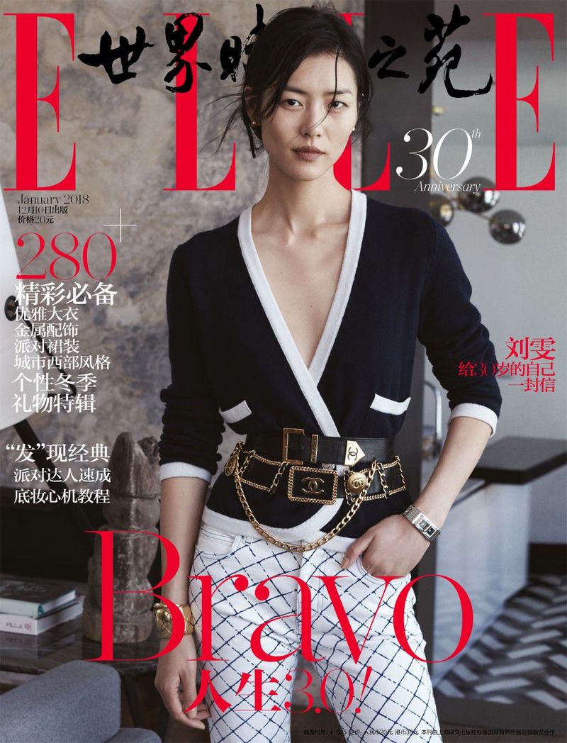 Elle China January 2018 Cover (Elle China)