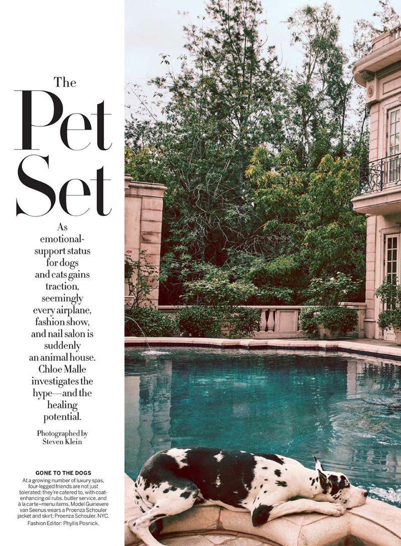 The Pet Set (American Vogue)