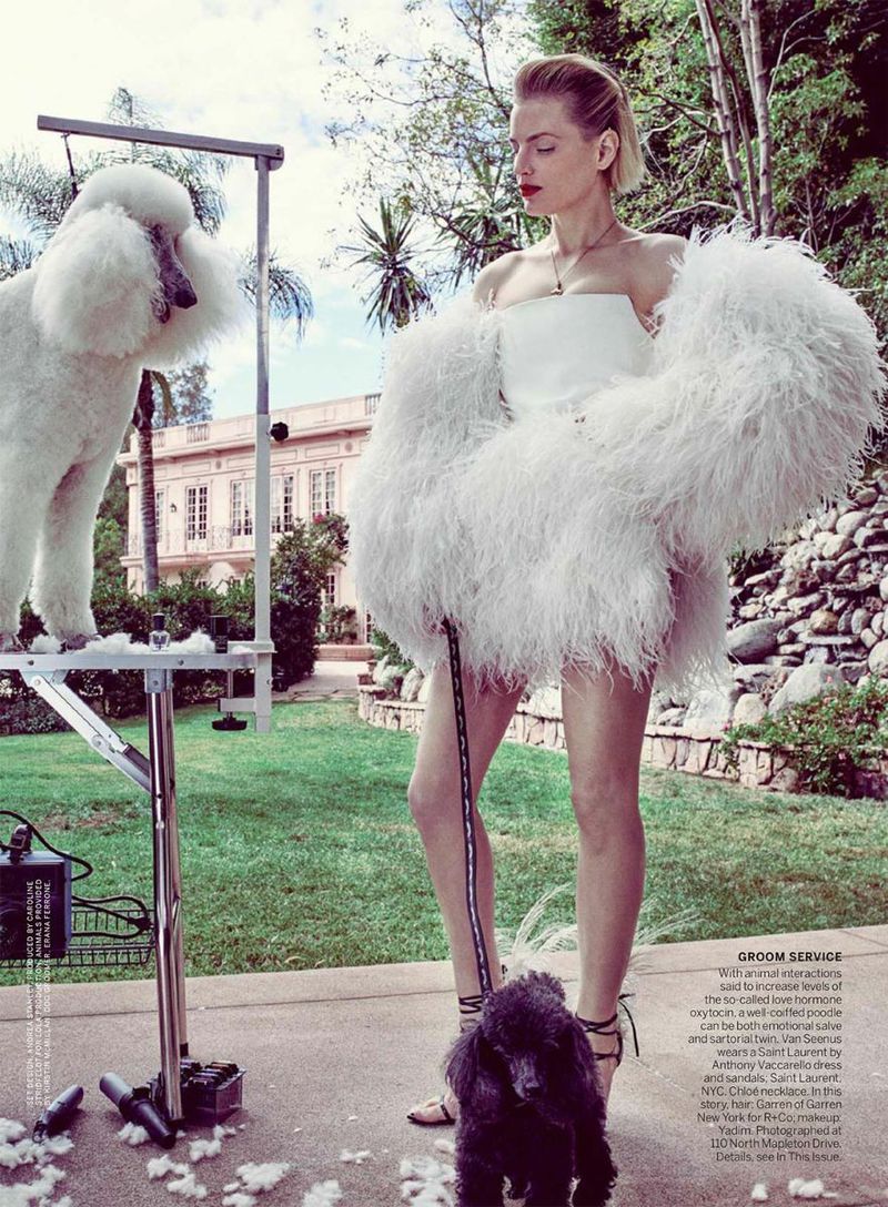 The Pet Set (American Vogue)