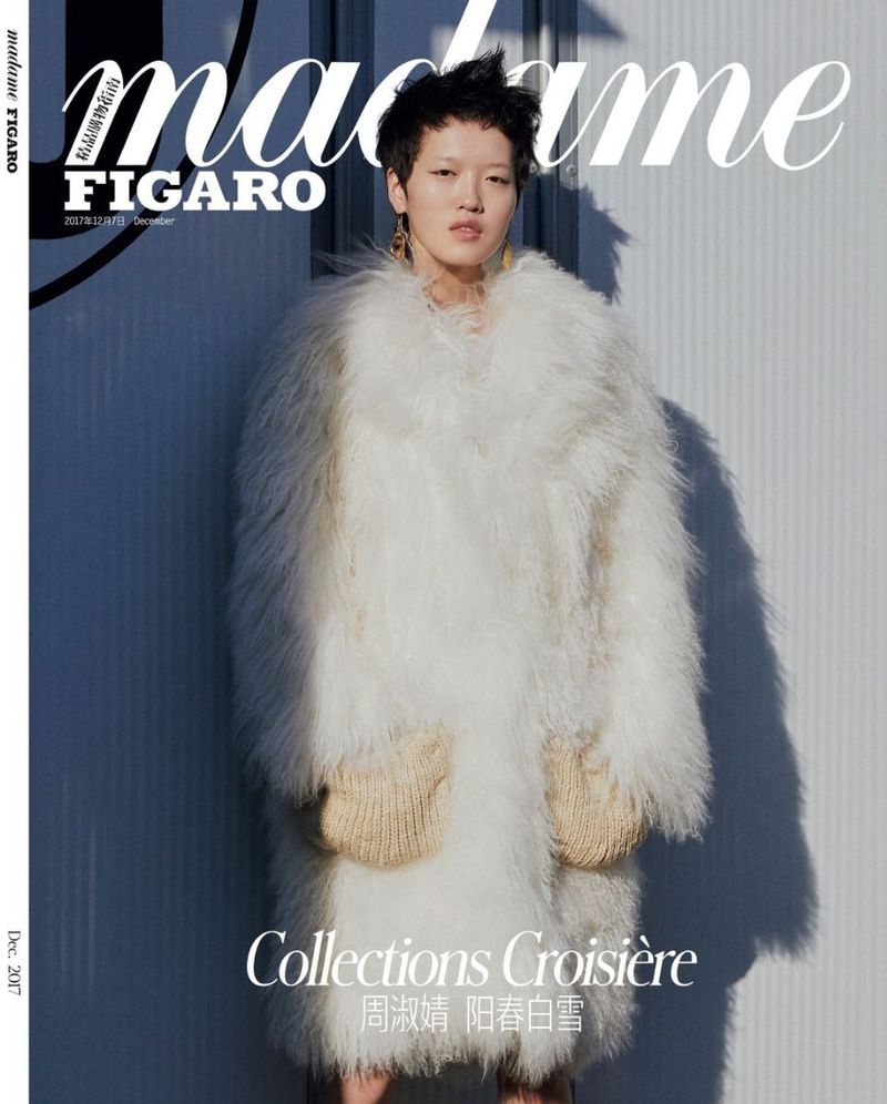 Madame Figaro China December 2017 Cover (Madame Figaro China)