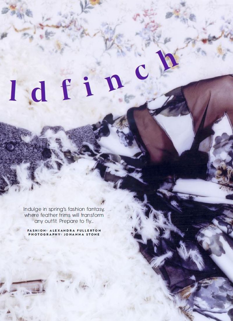 The Goldfinch (Stylist Magazine UK)