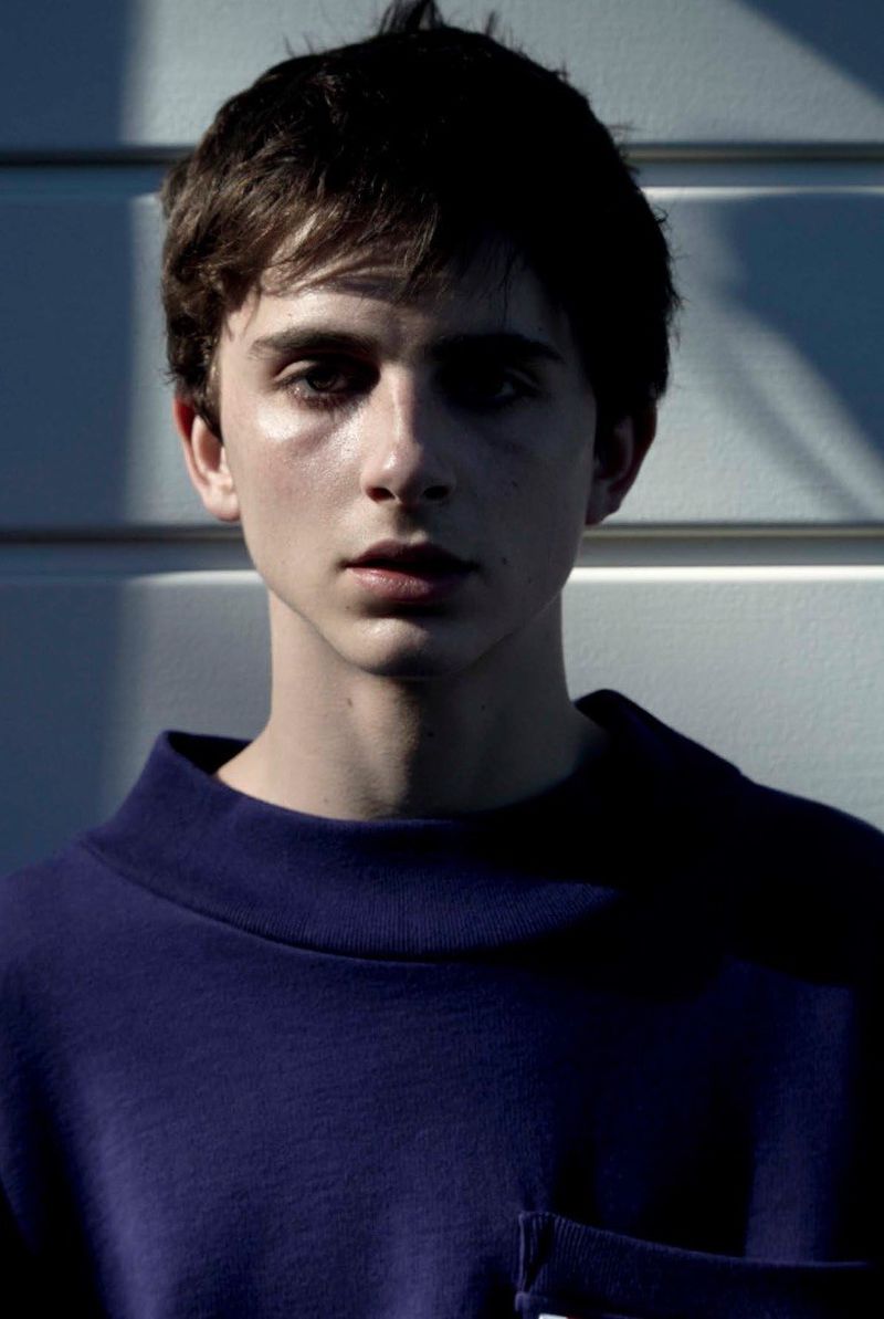 Timothée Chalamet (HERO Magazine)