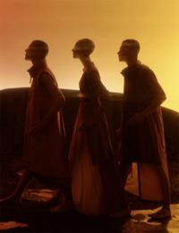 Felix Edwards - Model Profile - Photos & latest news