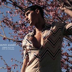 Brad Alphonso - Model Profile - Photos & latest news