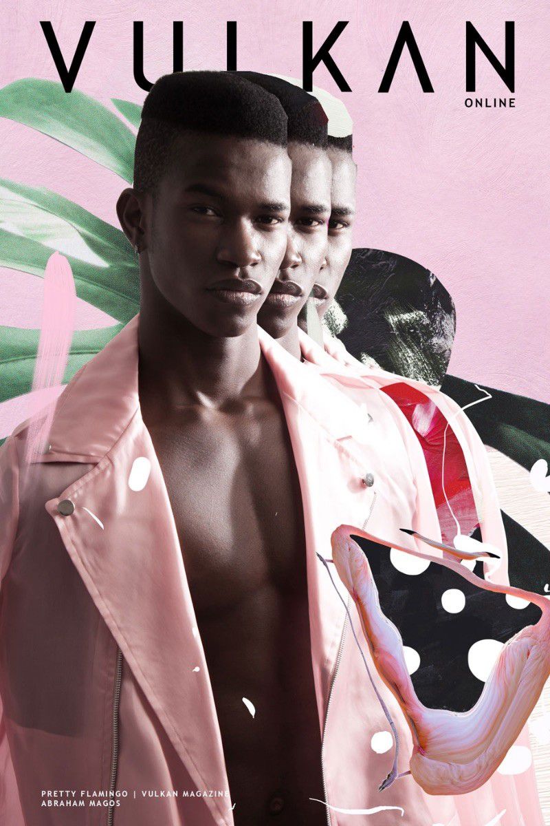 Vulkan Magazine January 2016 Cover (Vulkan Magazine)