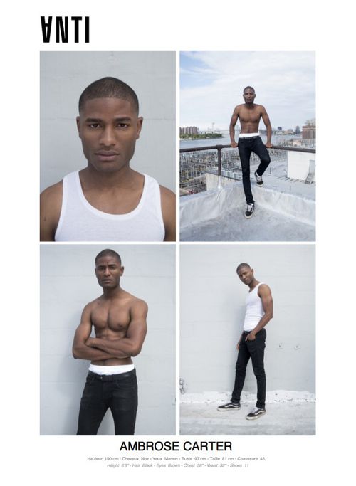 Ambrose Carter - Model - detail by client