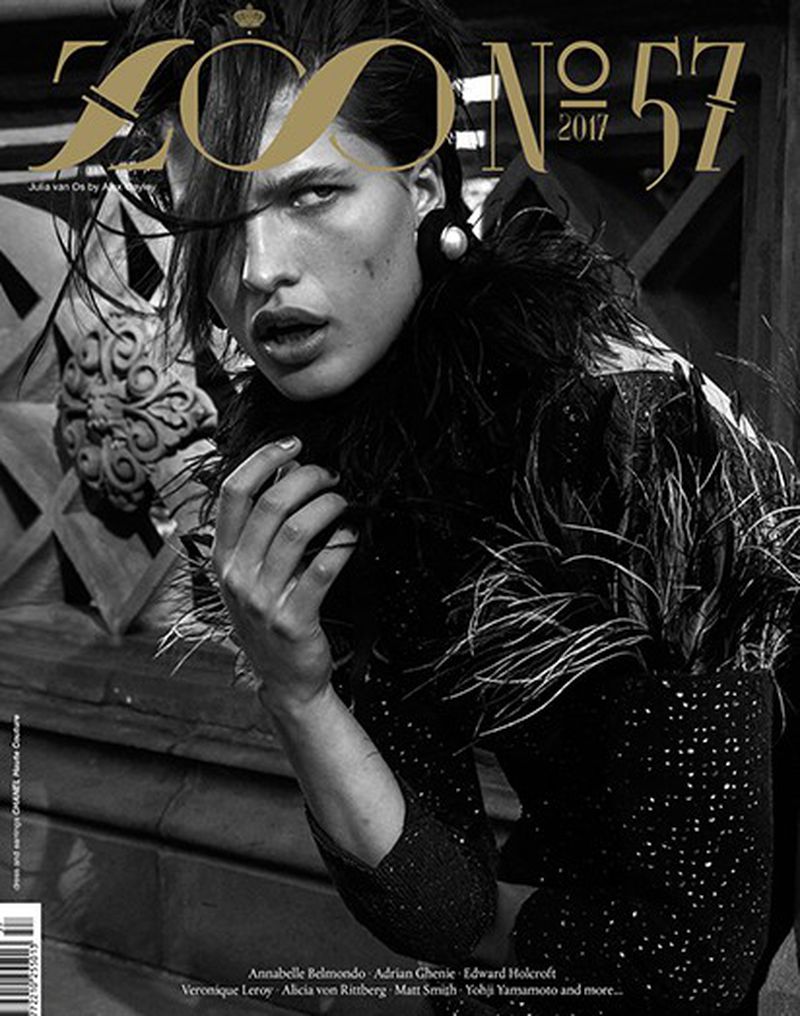 Shadow Box (Zoo Magazine)