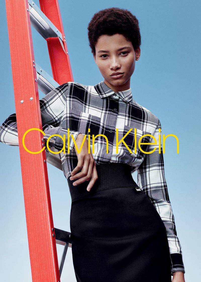 Calvin Klein Main Label 2018 (Calvin Klein)