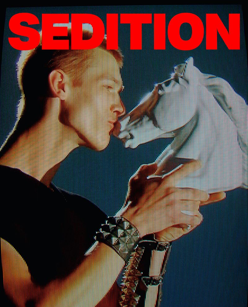 Sedition Magazine Fall/Winter 2018 Covers (Sedition Magazine)