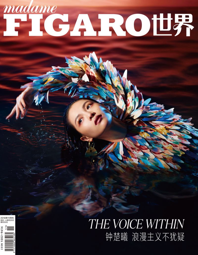 Madame Figaro China November 2018 Cover (Madame Figaro China)
