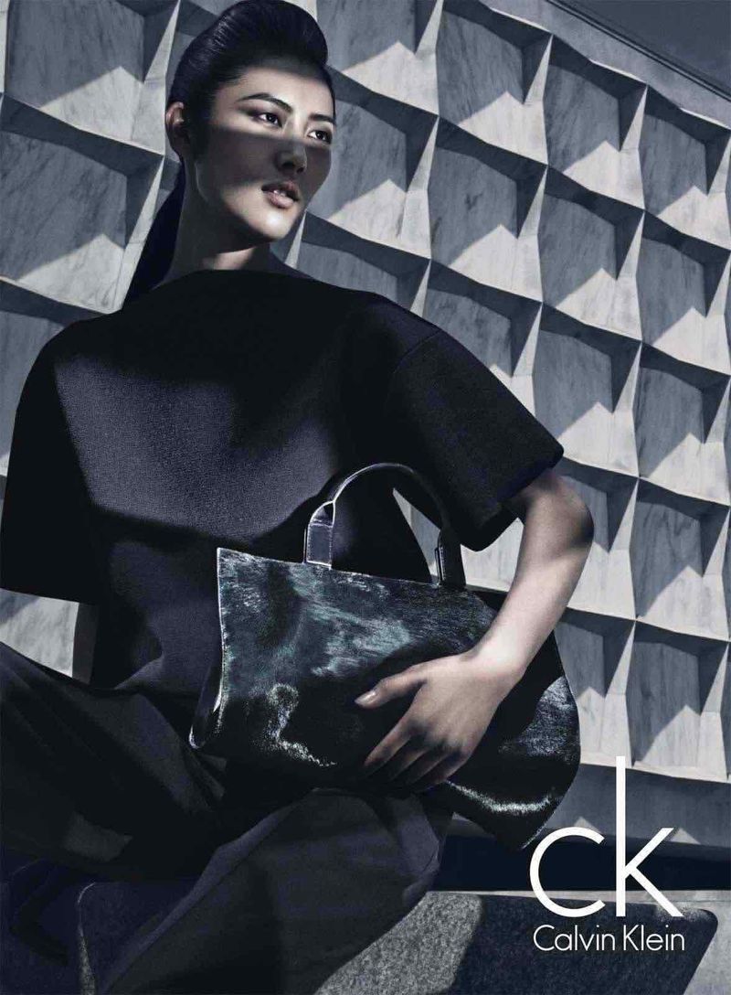 ck Calvin Klein F/W 13 (Calvin Klein)