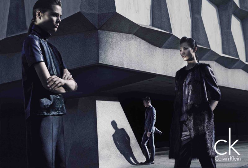 ck Calvin Klein F/W 13 (Calvin Klein)