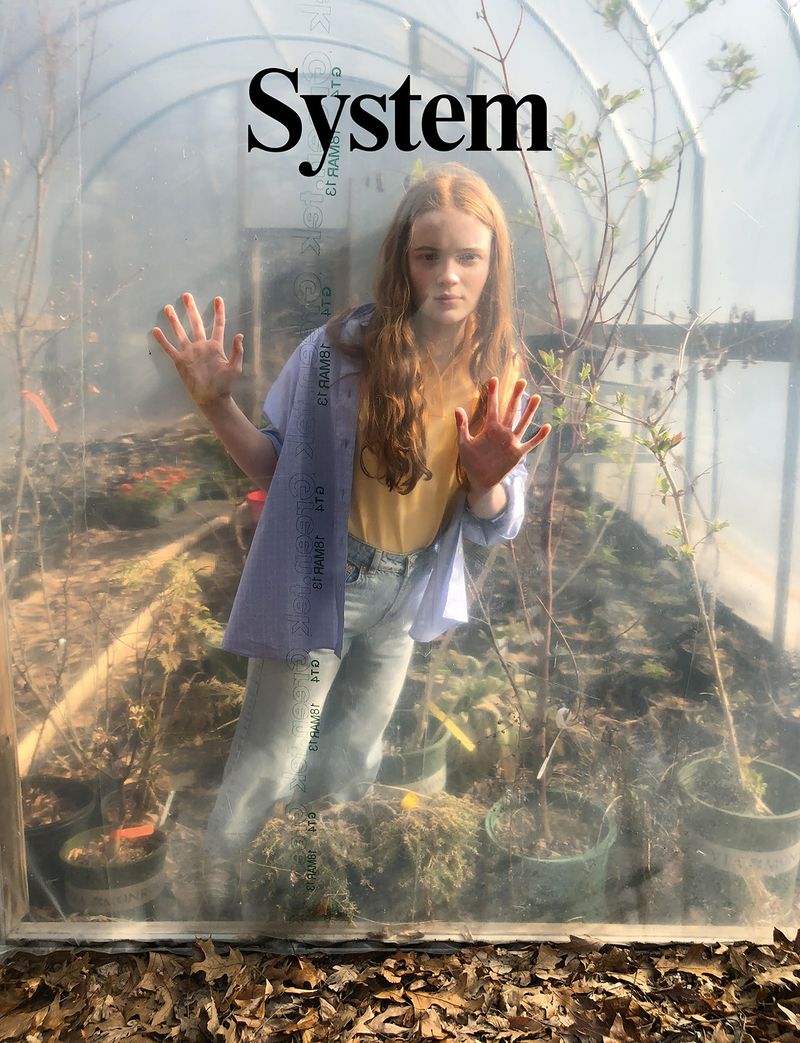 System Magazine No. 11 Covers (System Magazine)
