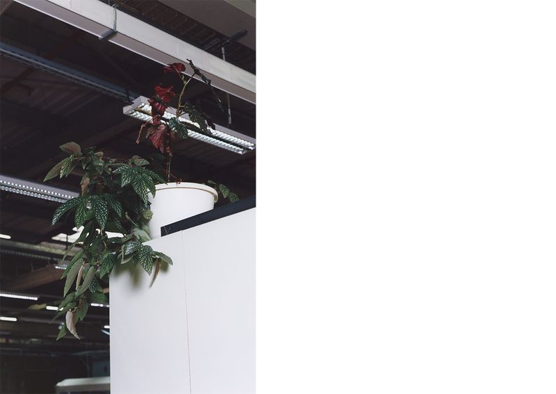 FACTORY (Noon Magazine)