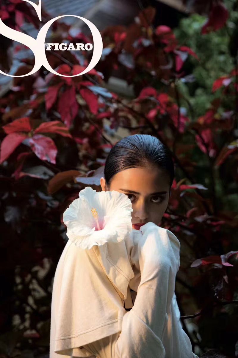 So Figaro magazine (So Figaro)