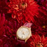 Time is on our side (Harper's Bazaar UK)