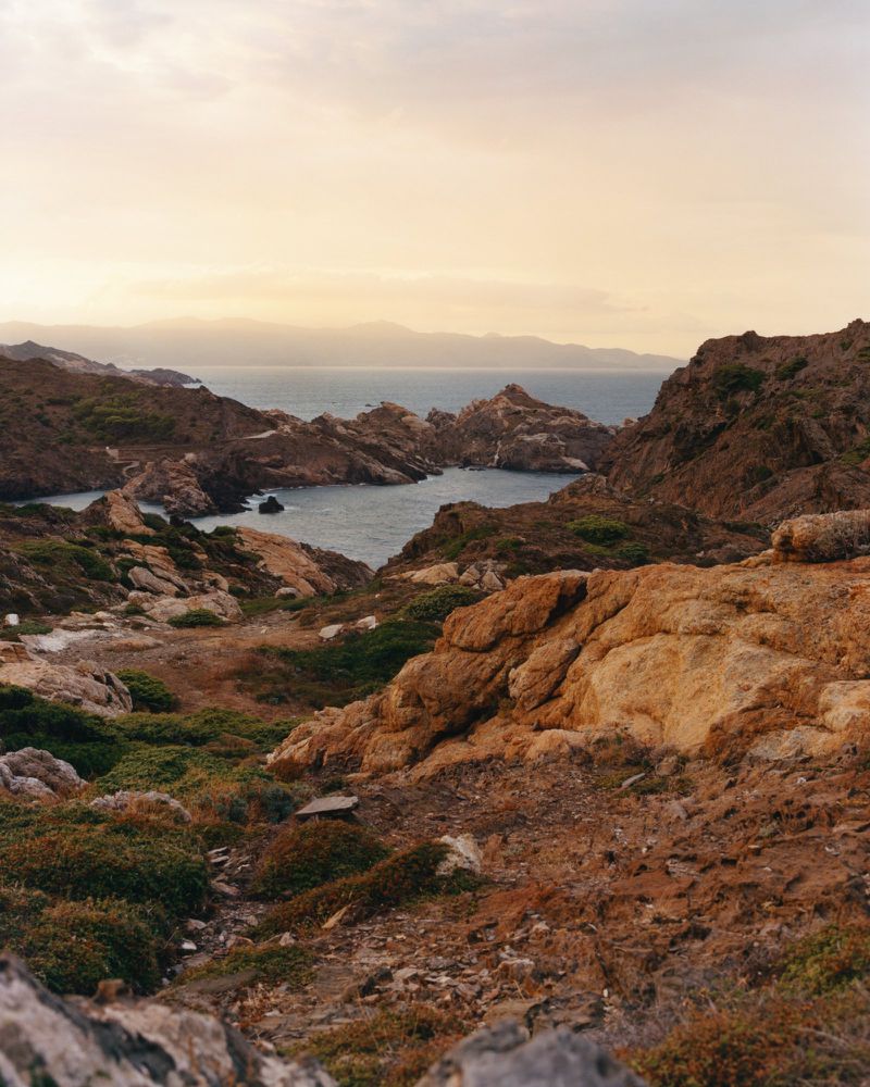 Loewe Eye/Loewe/Nature 2019 (Loewe)